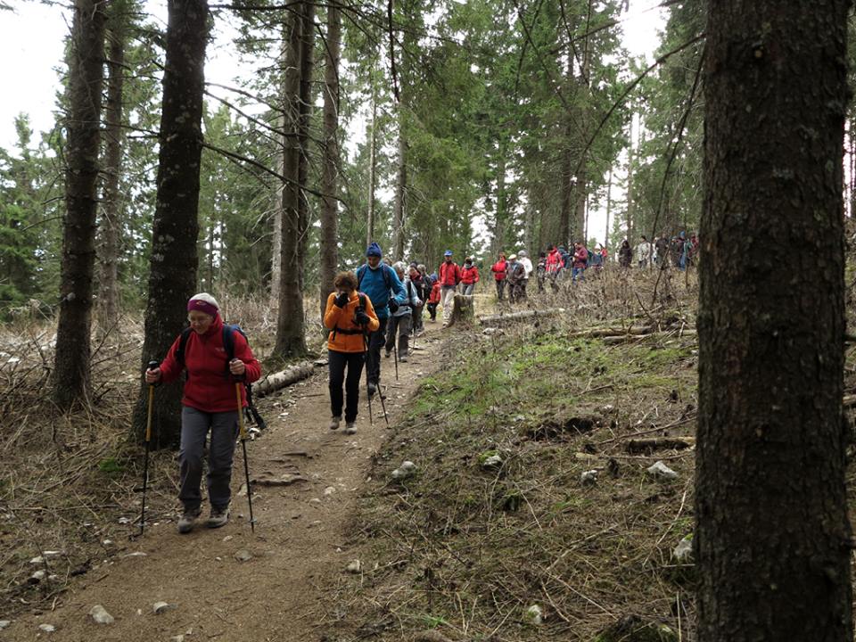 Zugliano. Il Gruppo Amici della Montagna festeggia 25 anni di camminate ... Zugliano. Il Gruppo Amici della Montagna festeggia 25 anni di camminate ...