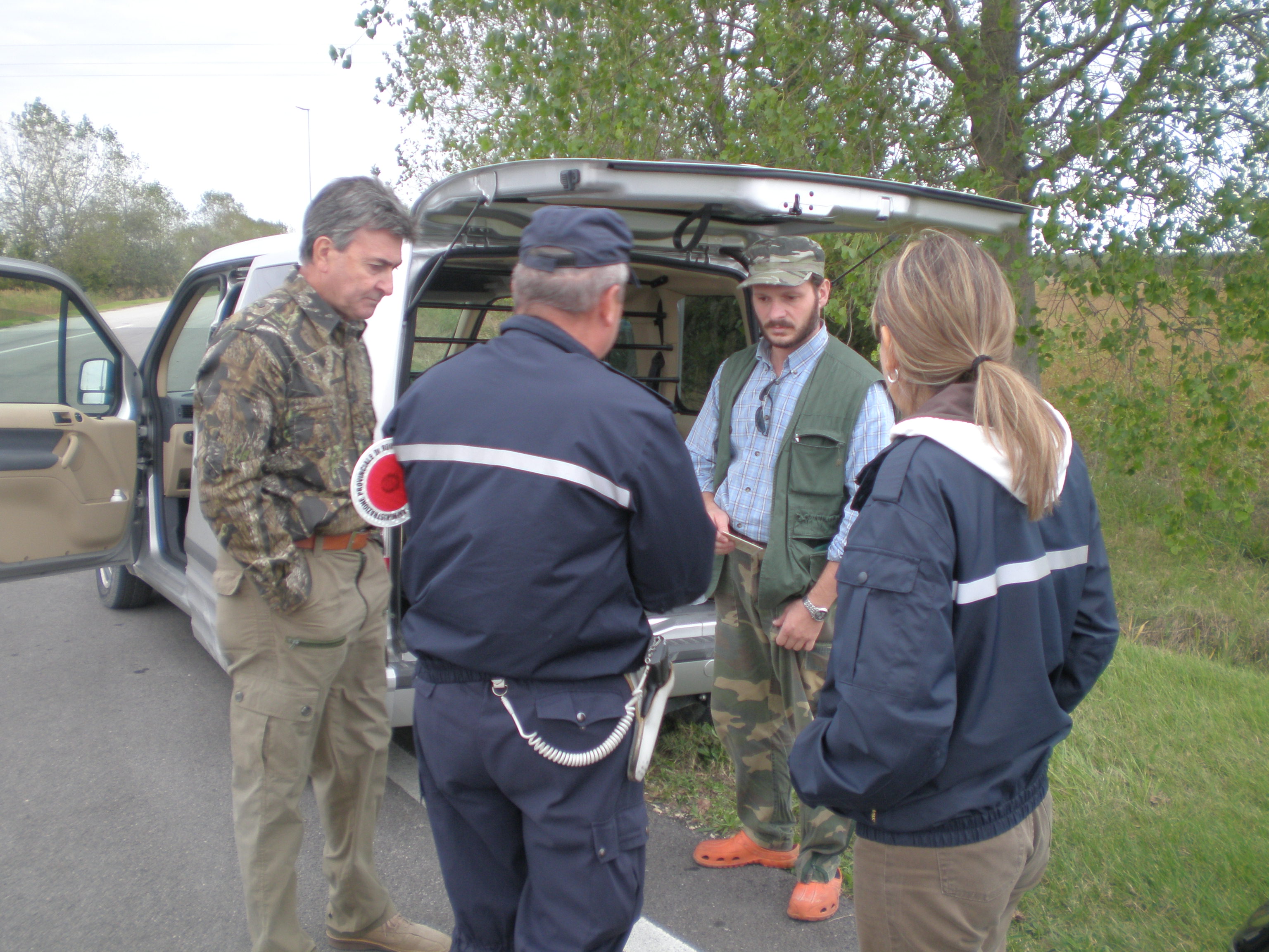 Asiago. Muflone femmina sbranata da lupo - AltoVicentinOnline