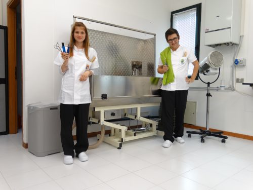 Thiene. Quando l'amore verso gli animali dà origine all'imprenditorialità - AltoVicentinOnline