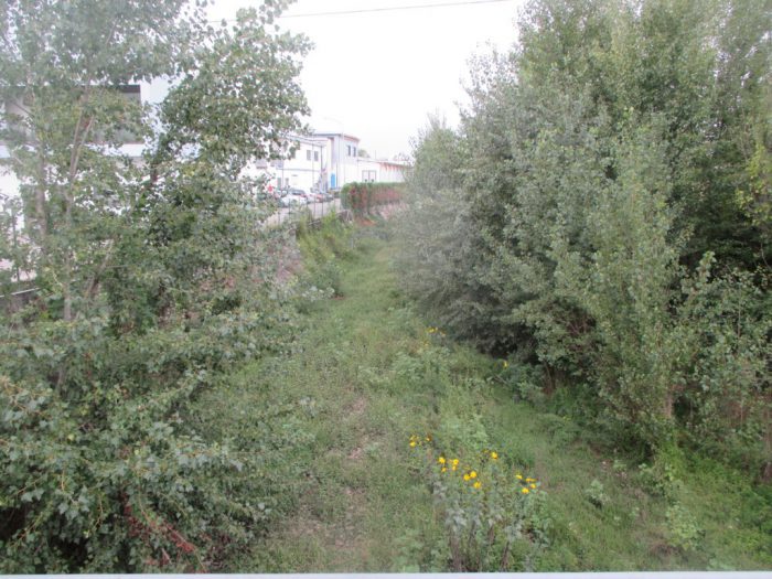 Malo. Comune in allerta, sollecita il Genio: "Pulite gli alvei dei ...