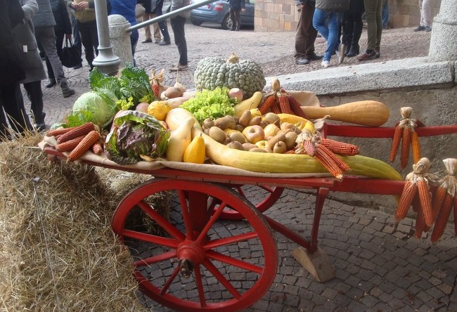 Cosa mangeremo domani? Il futuro dell'alimentazione passa per la ...