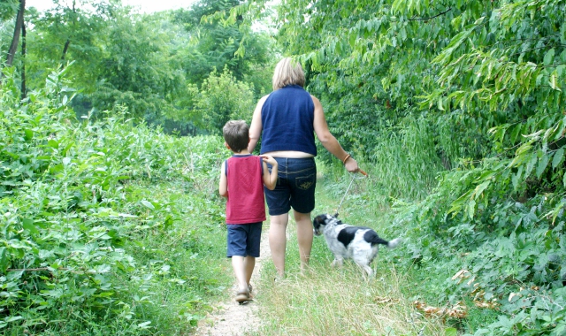 Punture di zecche, ragni e insetti, a volte sono indolori ...