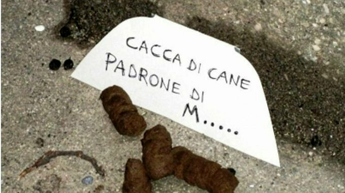 Schio. Cacche di cane e inciviltà, bocciata in consiglio la mozione di ...