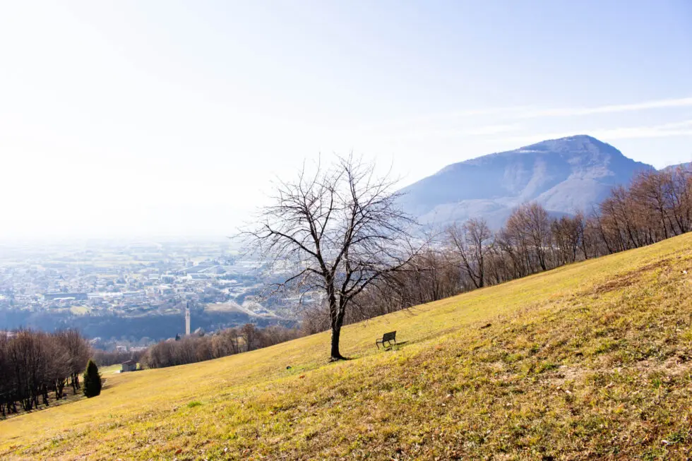 Domenica c'è l'escursione tra le colline di Caltrano - AltoVicentinOnline