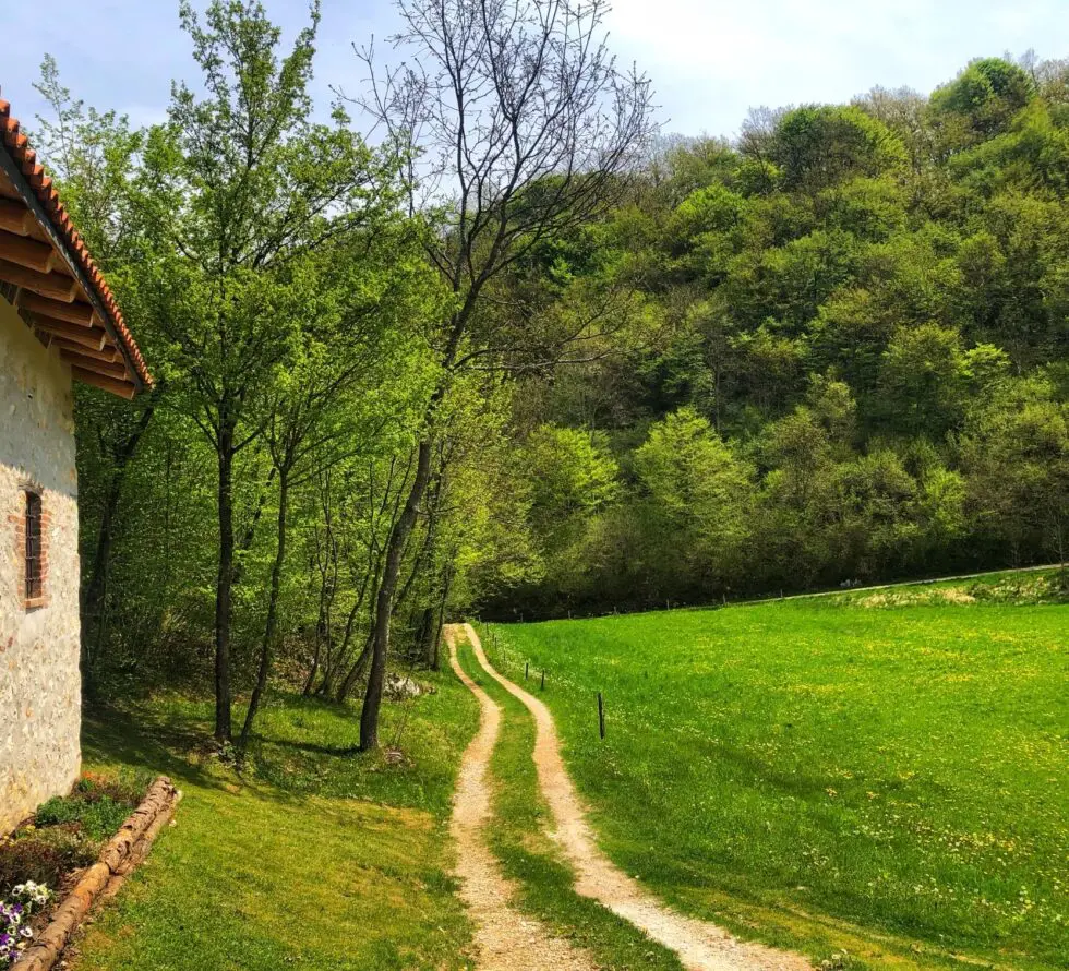 Monte di Malo. Attraverso il “Feo”, storie e tradizioni popolari ...