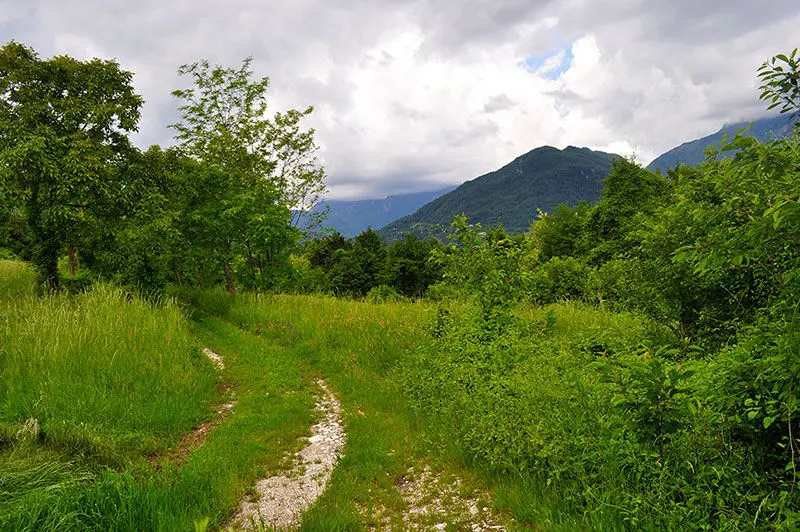 Il Sentiero di Scandolara - AltoVicentinOnline