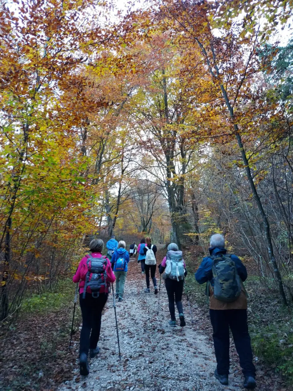 Escursione Tonezza in Foliage con Michele Savio - AltoVicentinOnline