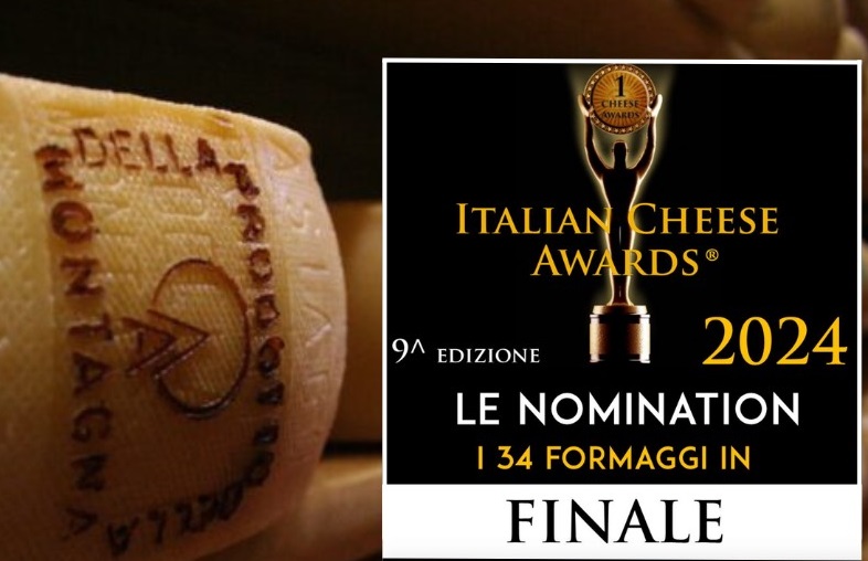 Italian Cheese Awards: doppia nomination per l'Asiago Dop tra i ...