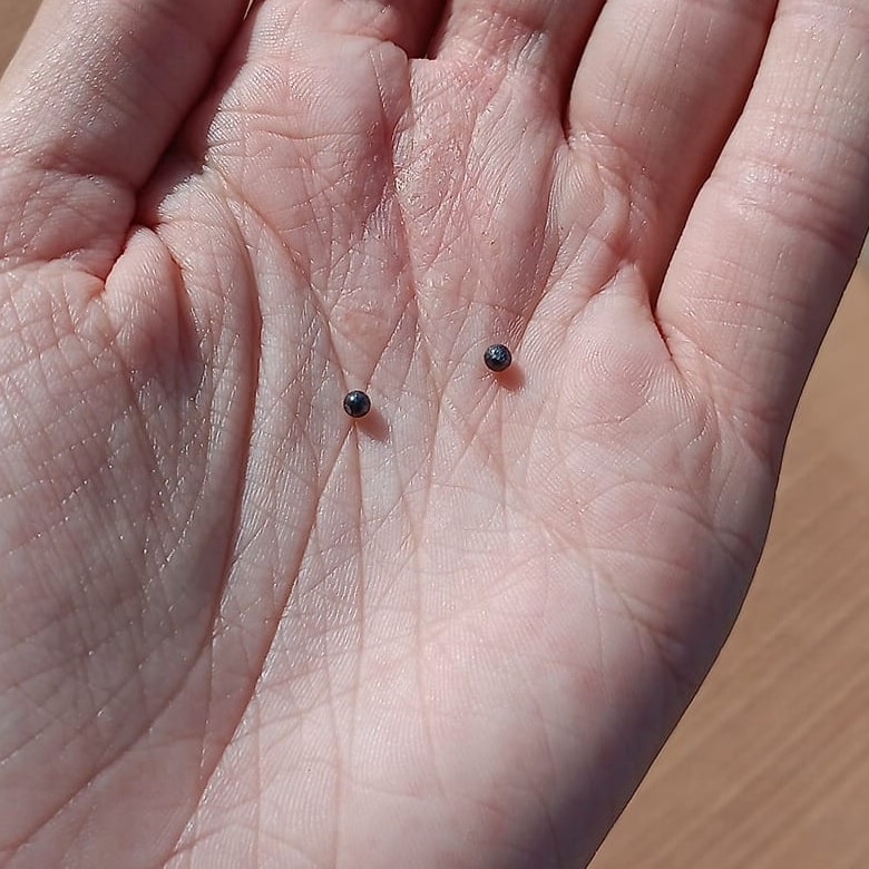 Schio. La denuncia di Enpa: "Sul Canile piovono pallini". I carabinieri avrebbero identificato i ...