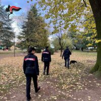 Thiene e Dintorni Archivi - AltoVicentinOnline