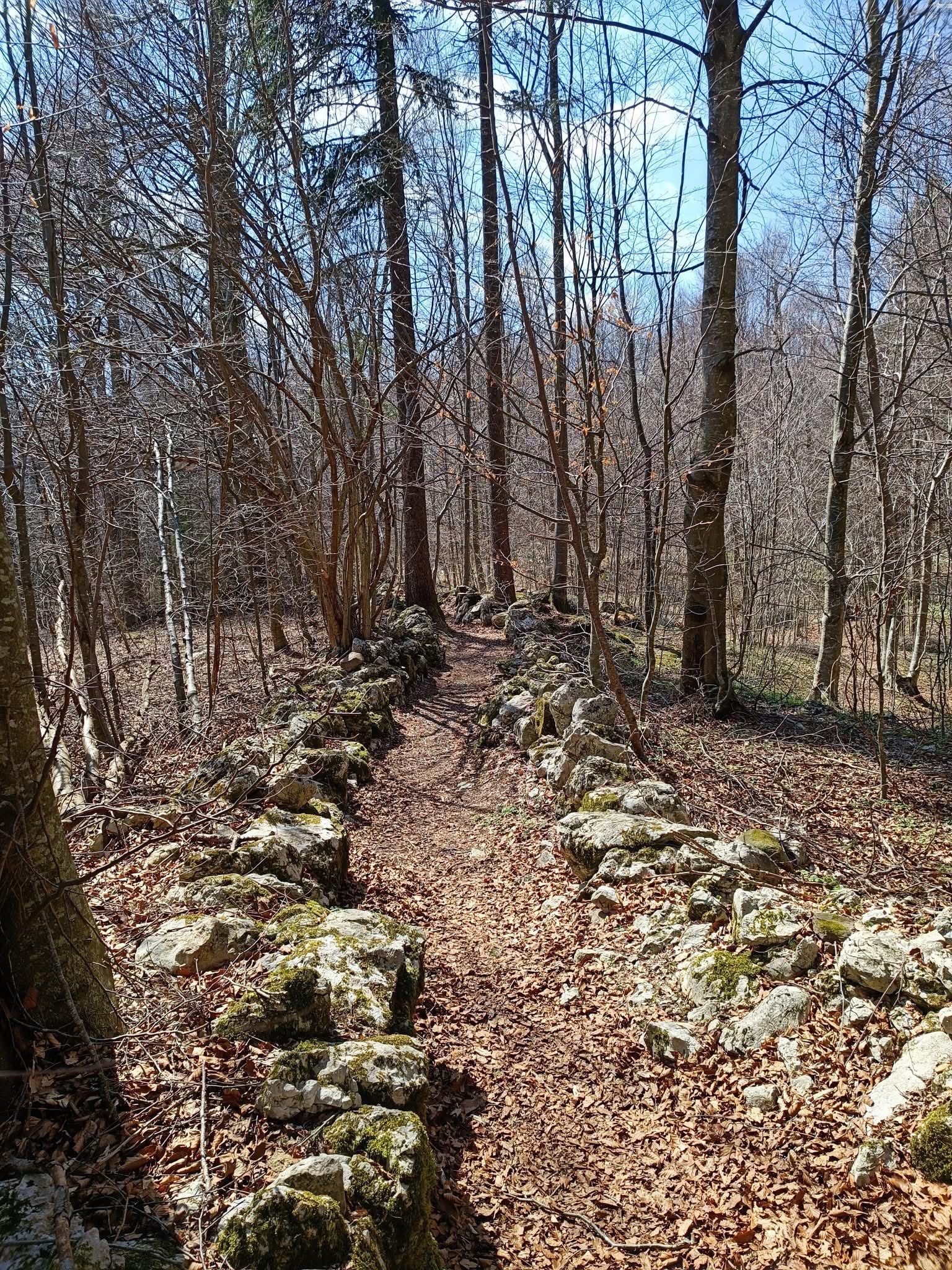 Il Bosco delle Meraviglie, un angolo incantato a Tonezza del Cimone ...