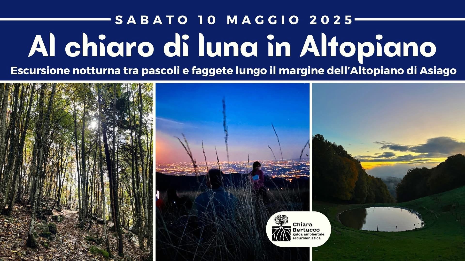 Altopiano dei 7 Comuni. Due giorni di escursioni con Chiara Bertacco tra luna piena e antichi ...