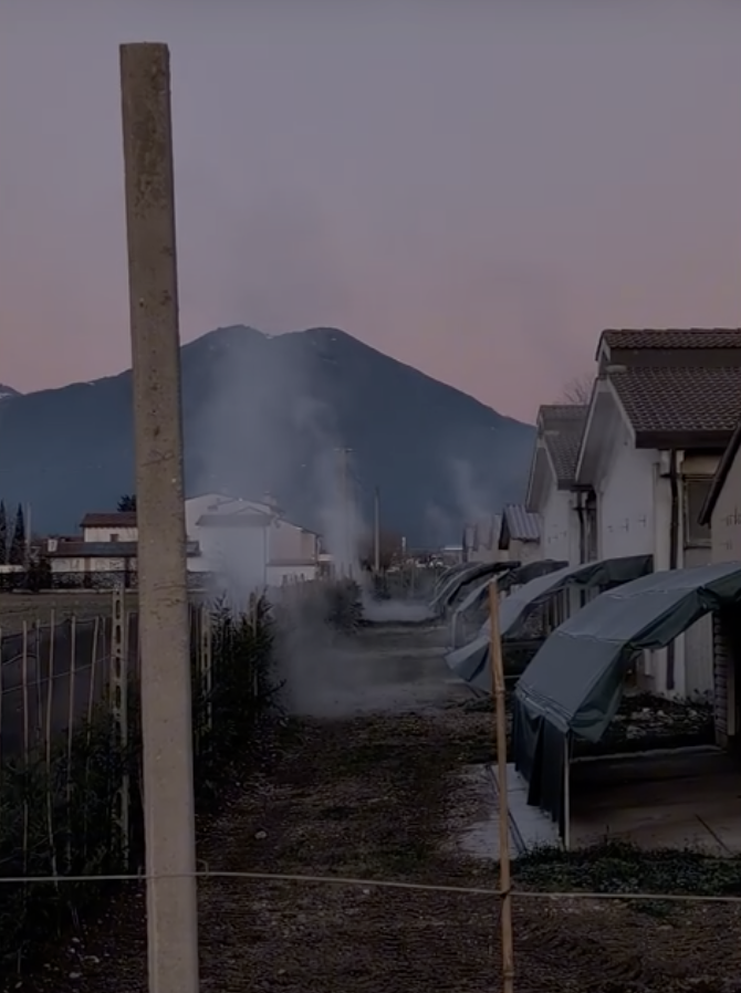 Zugliano. Maxi pollaio, puzza senza fine. Tra ordinanze e Tar la ...